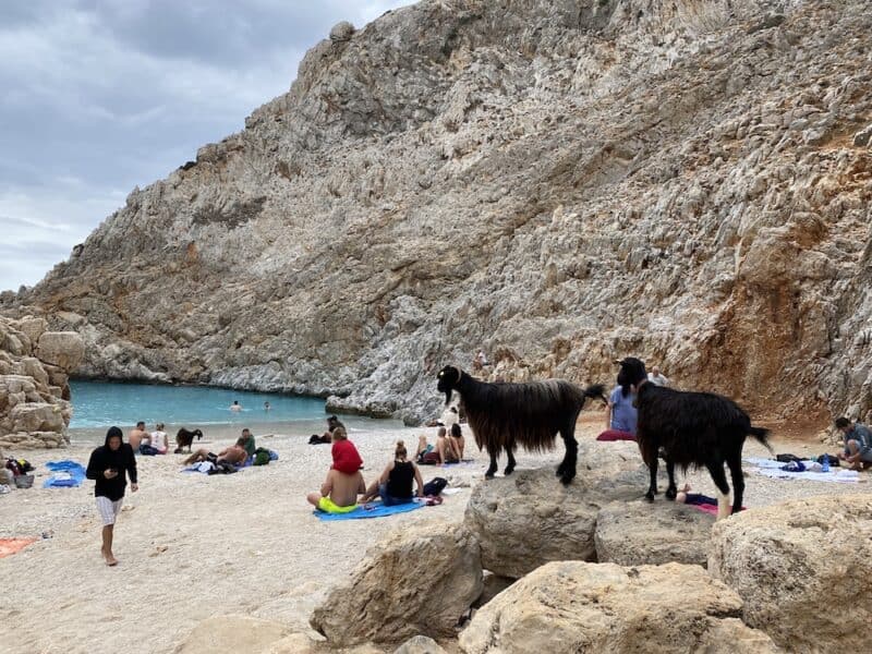 How To Get From Athens To Crete: Transport Options (2024)